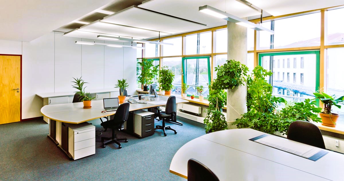 Windows and Biophilic Design: Incorporating Nature's Elements in ...